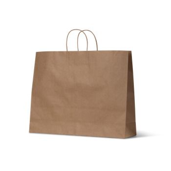 Large Landscape Paper Twist Handle Paper Carry Bag Kraft - CWP Distributors